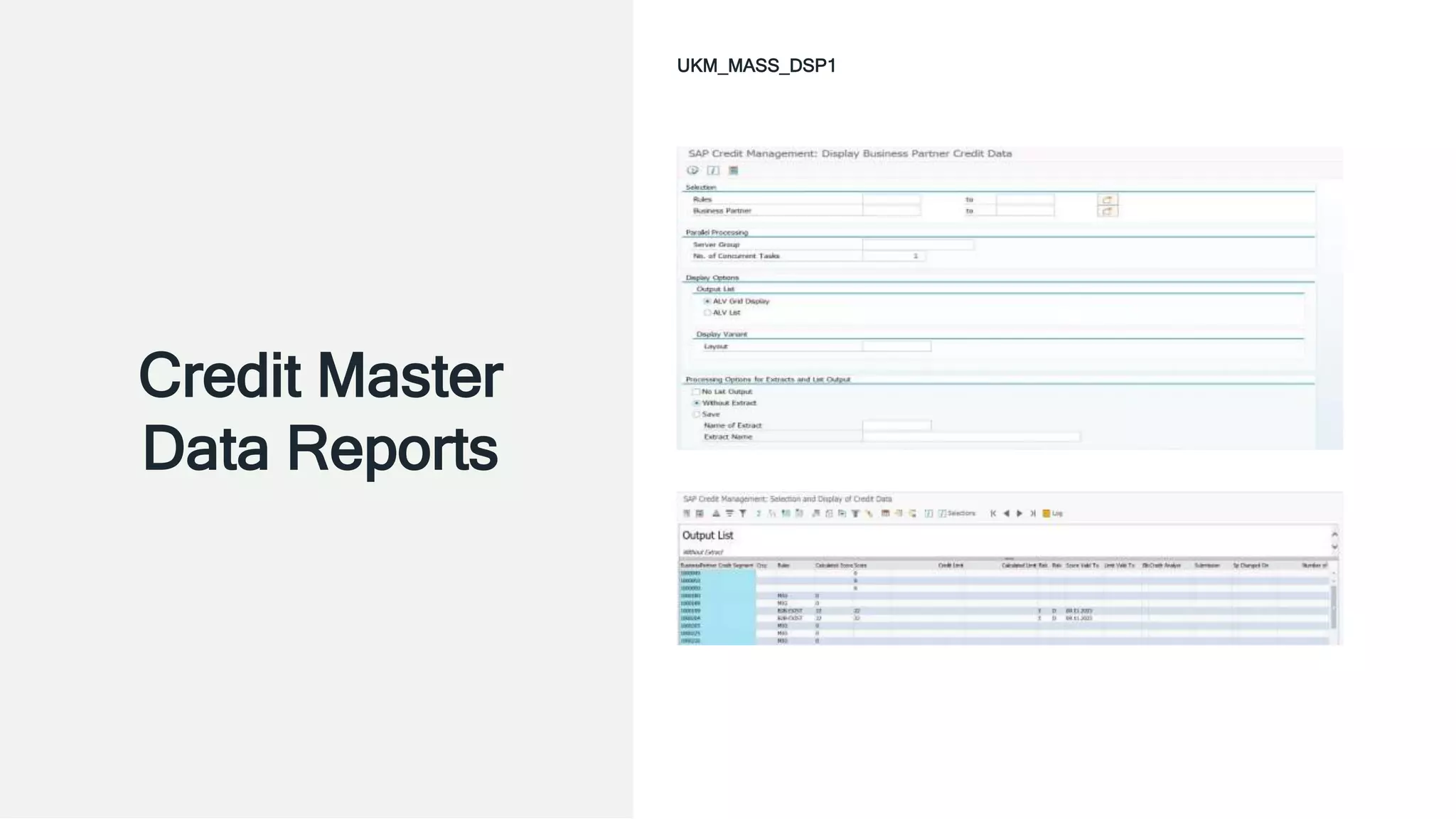 Credit Management S/4 Hana | PPTX