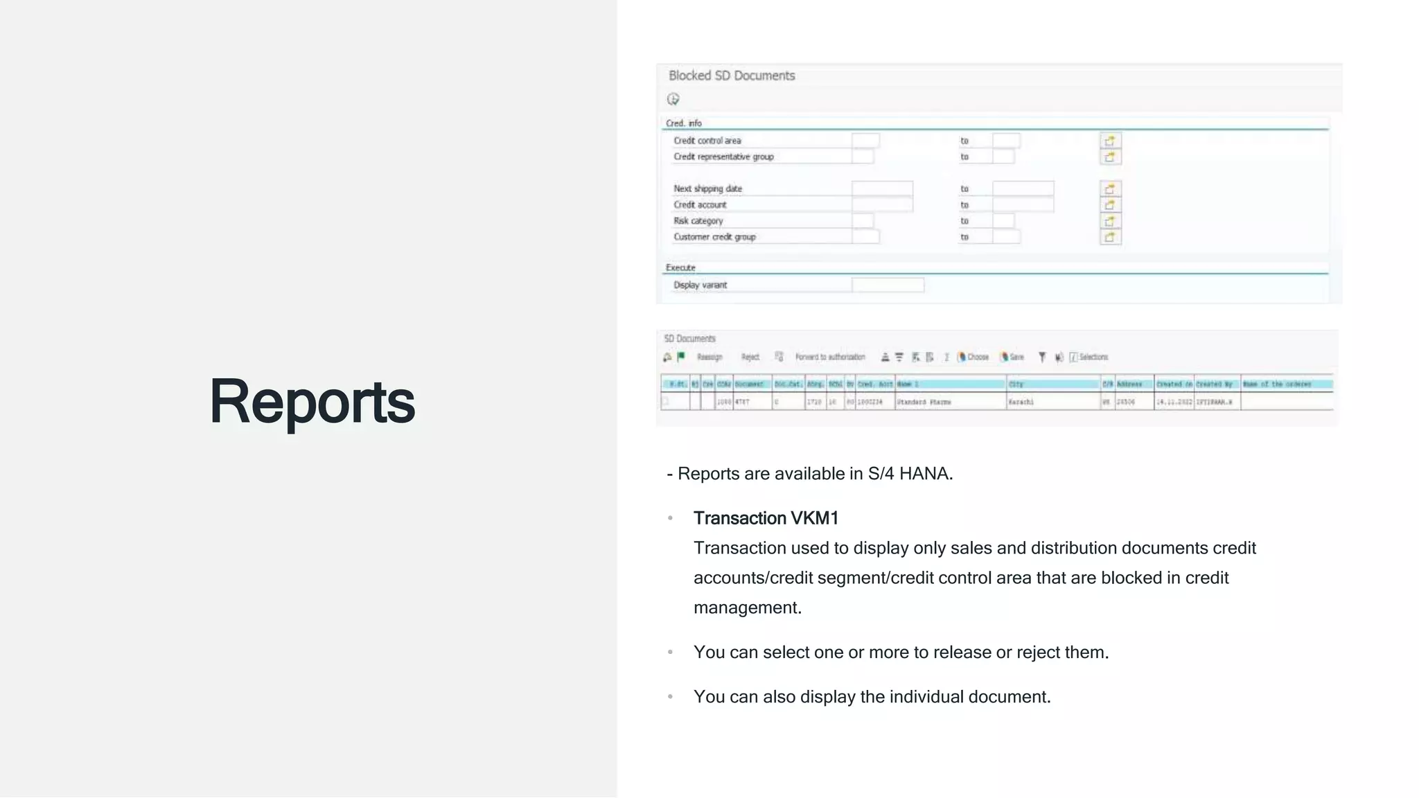 Credit Management S/4 Hana | PPTX
