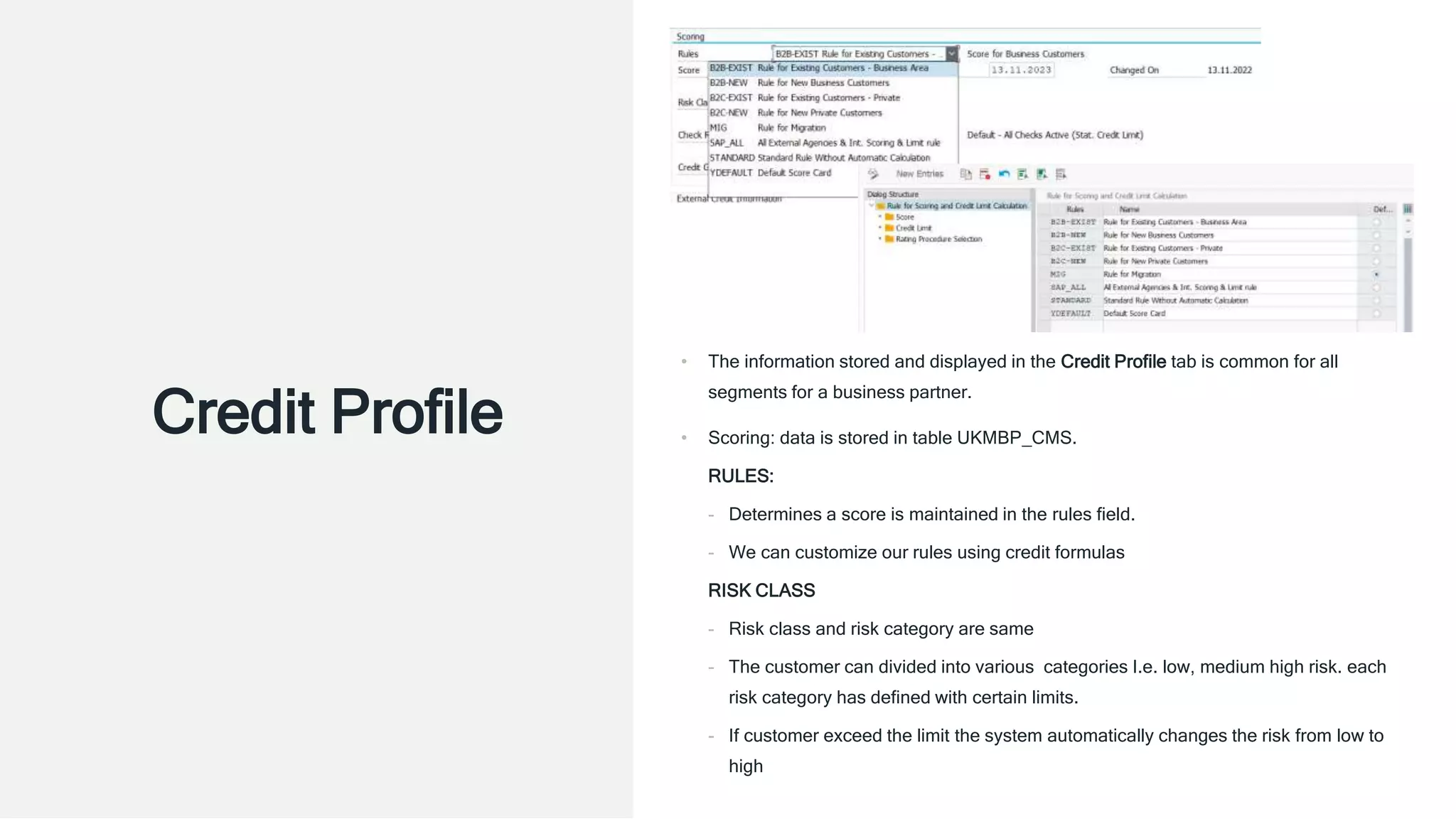 Credit Management S/4 Hana | PPTX