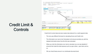 Credit Management S/4 Hana | PPTX