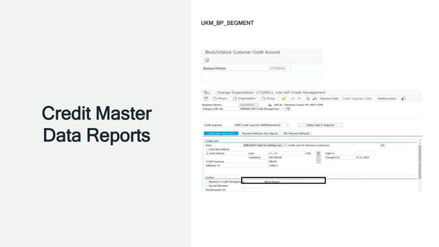 Credit Management S/4 Hana | PPTX | Business | Business and Finance