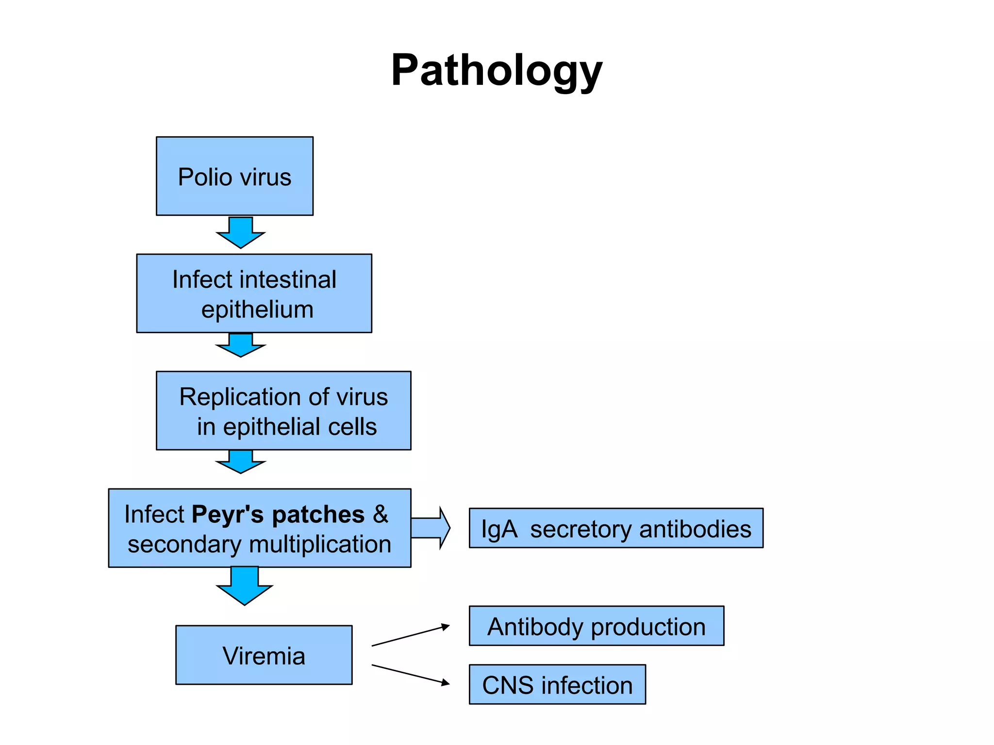 poliomyelitis 12 04-2016 | PDF