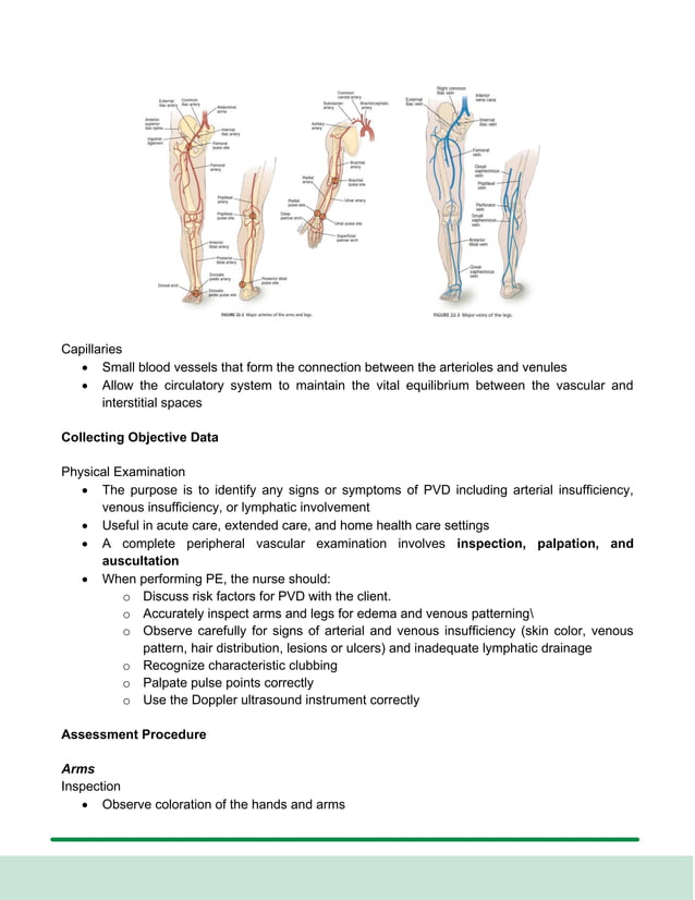 CM3 - CU13 ASSESSMENT OF PERIPHERAL VASCULAR SYSTEM.pdf | Death, Injury ...