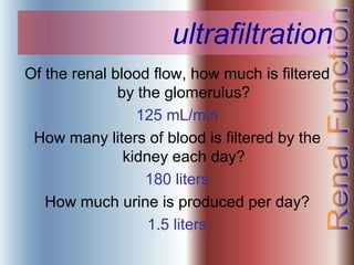Cm5 renal function | PPT