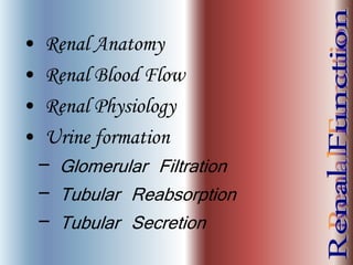 Cm5 renal function | PPT