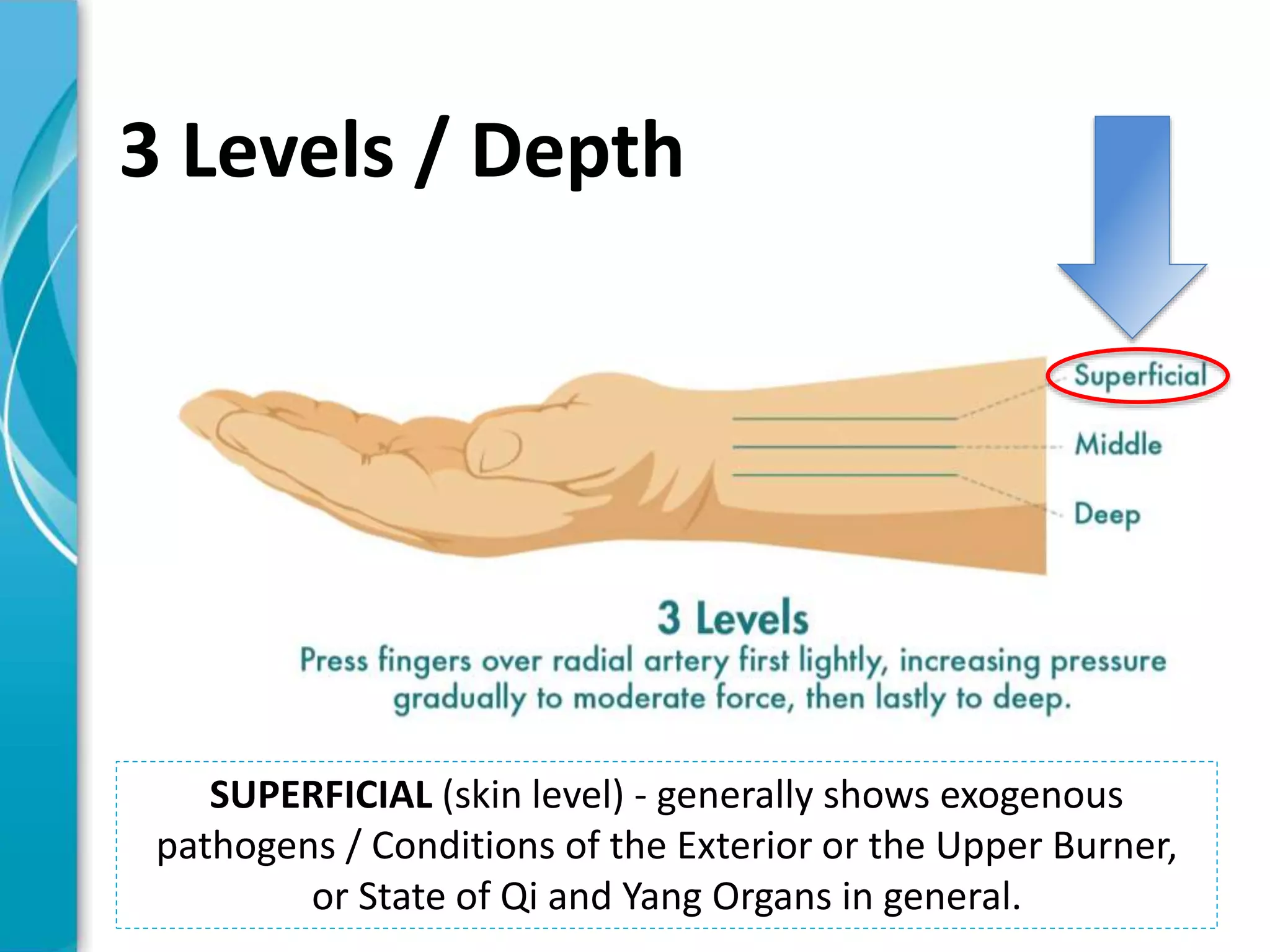 TCM Superficial Pulse Group | PPTX