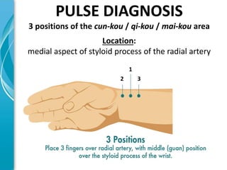 TCM Superficial Pulse Group | PPTX