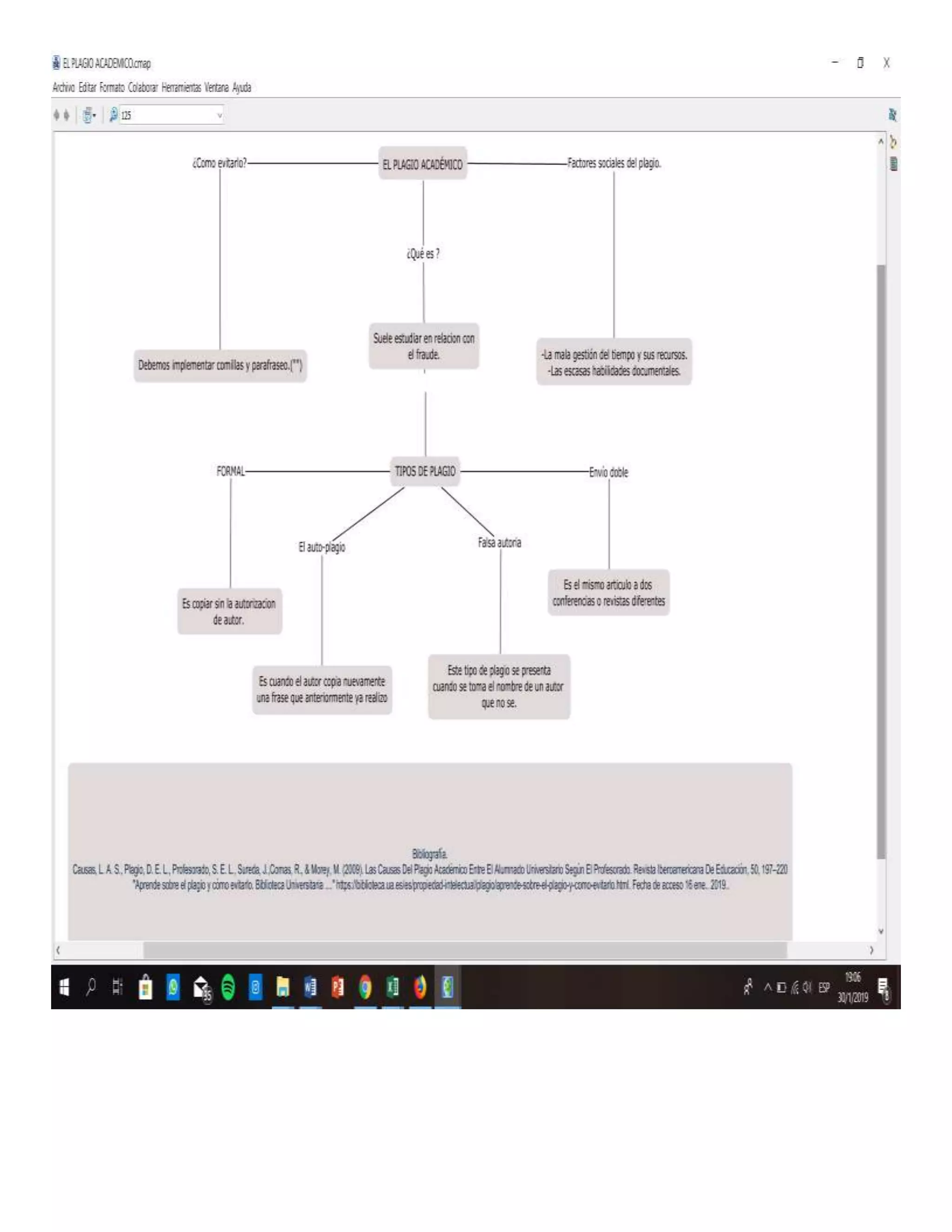 Cmap plagio academico pdf | PDF