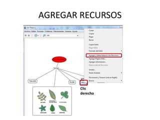 Cmaptools | PPTX | Computer Software and Applications | Computing