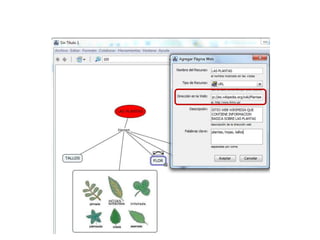 Cmaptools | PPTX | Computer Software and Applications | Computing