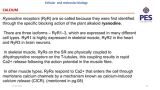 cmb(1) calcium.pptx