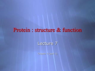 Protein Structure Lesson for College Students | PPT