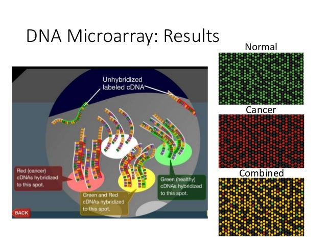 Microarray