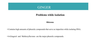 Isolation and Characterisation of Plant DNA | PDF