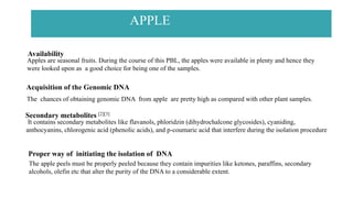 Isolation and Characterisation of Plant DNA | PDF