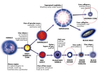 NEUTRON STARS AND WHITE DWARFS | PPT