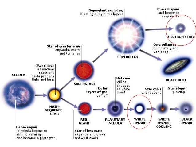 NEUTRON STARS AND WHITE DWARFS