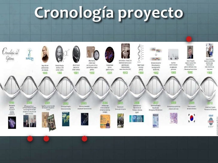 La Cronologa Del Descubrimiento Del Genoma Humano