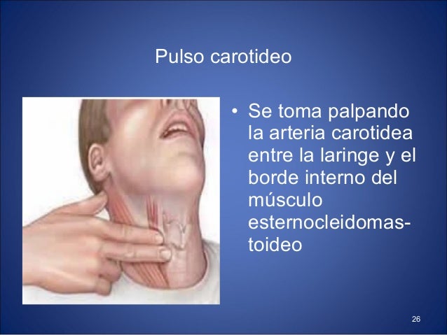 Cmc prim aux i clase