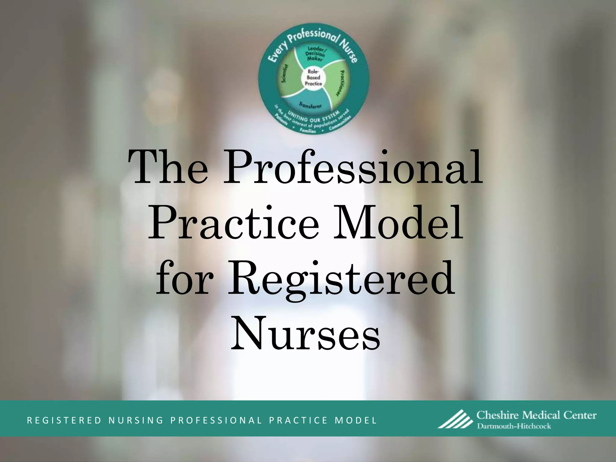 Professional Practice Model | PPTX