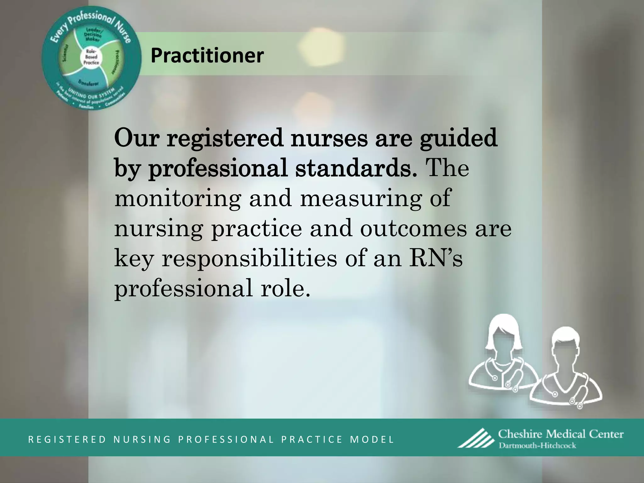 Professional Practice Model | PPTX