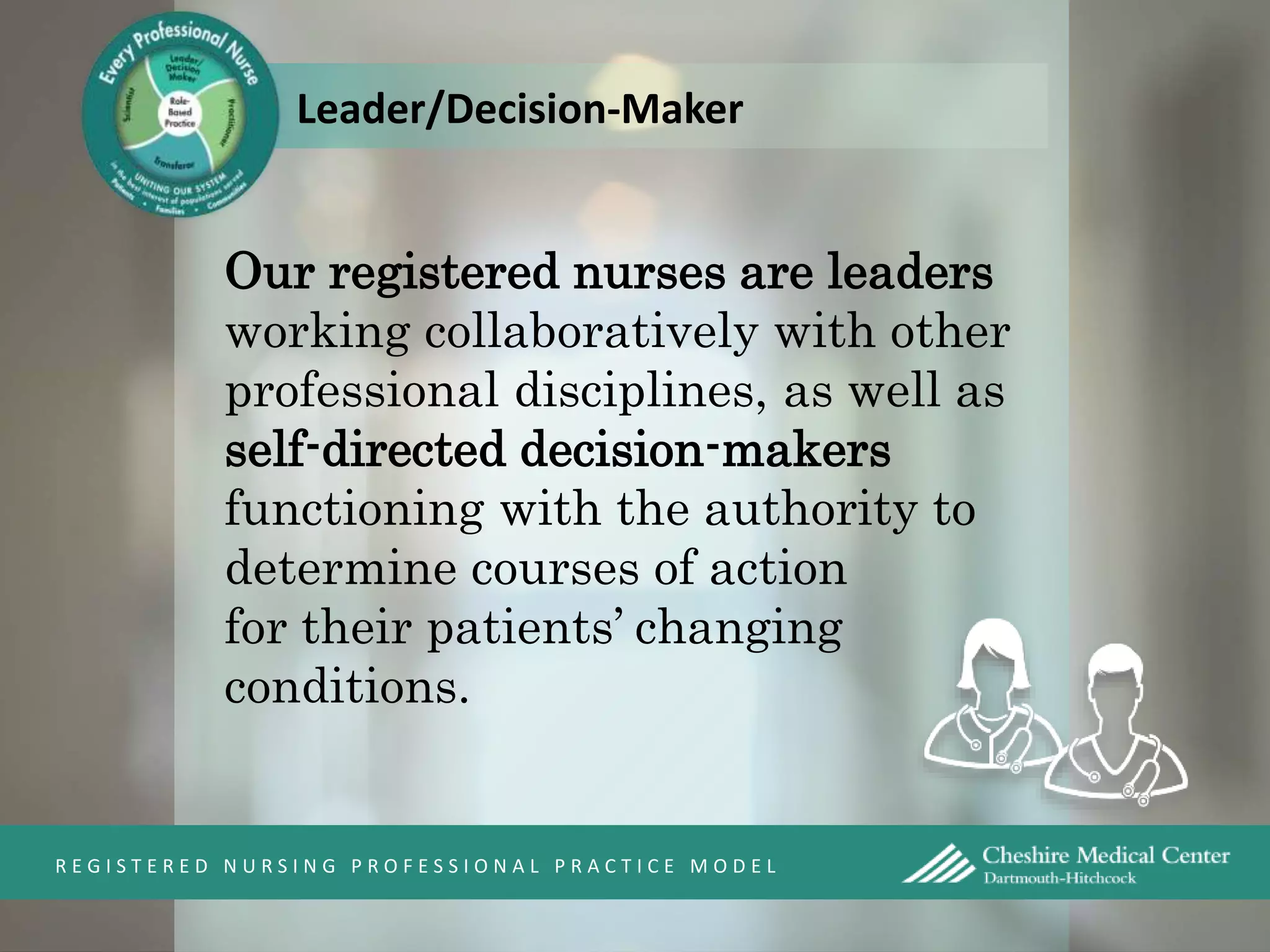 Professional Practice Model | PPTX