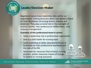 Professional Practice Model | PPTX