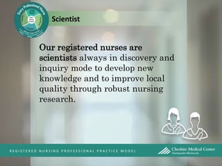 Professional Practice Model | PPTX