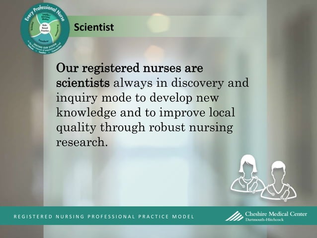 Professional Practice Model | PPTX