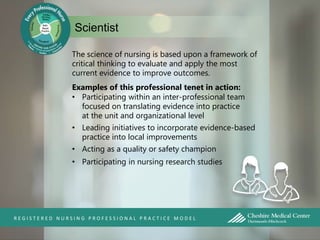 Professional Practice Model | PPTX