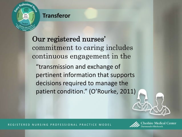 Professional Practice Model | PPTX