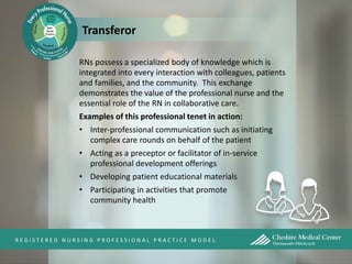 Professional Practice Model | PPTX