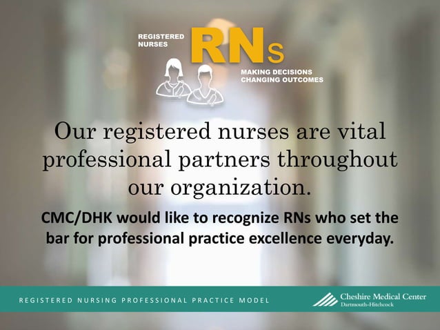 Professional Practice Model | PPTX