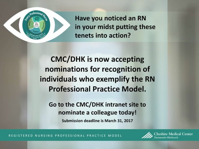 Professional Practice Model | PPTX