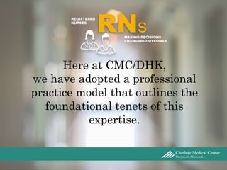 Professional Practice Model | PPTX