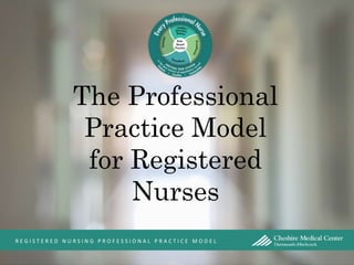 Professional Practice Model | PPTX