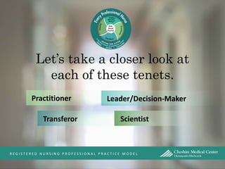 Professional Practice Model | PPTX