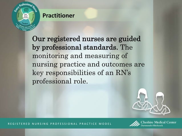 Professional Practice Model | PPTX