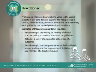 Professional Practice Model | PPTX
