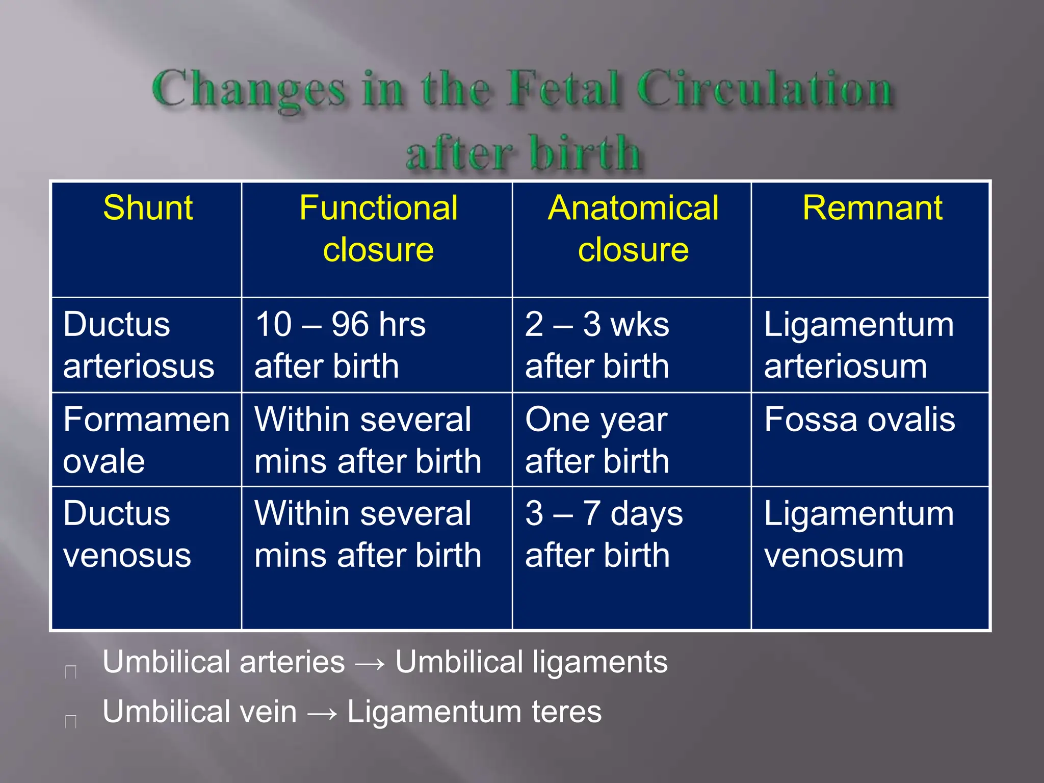 CMC Fetal Circulation.pptx Dr Biswajit Mukherjee | PPTX