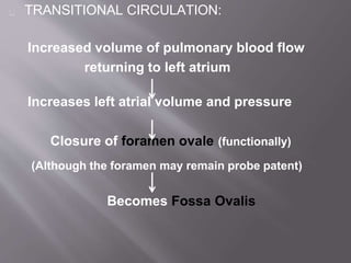 CMC Fetal Circulation.pptx Dr Biswajit Mukherjee | PPTX
