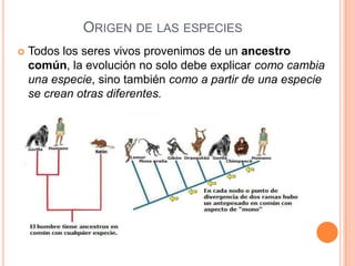 Como se originan las especies | PPTX