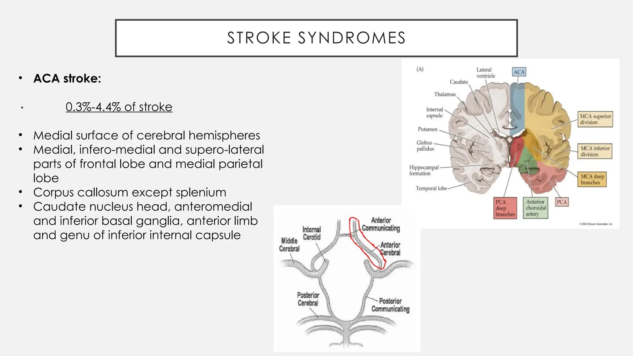 Case presentation on Cerebrovascular Infarction | PPTX
