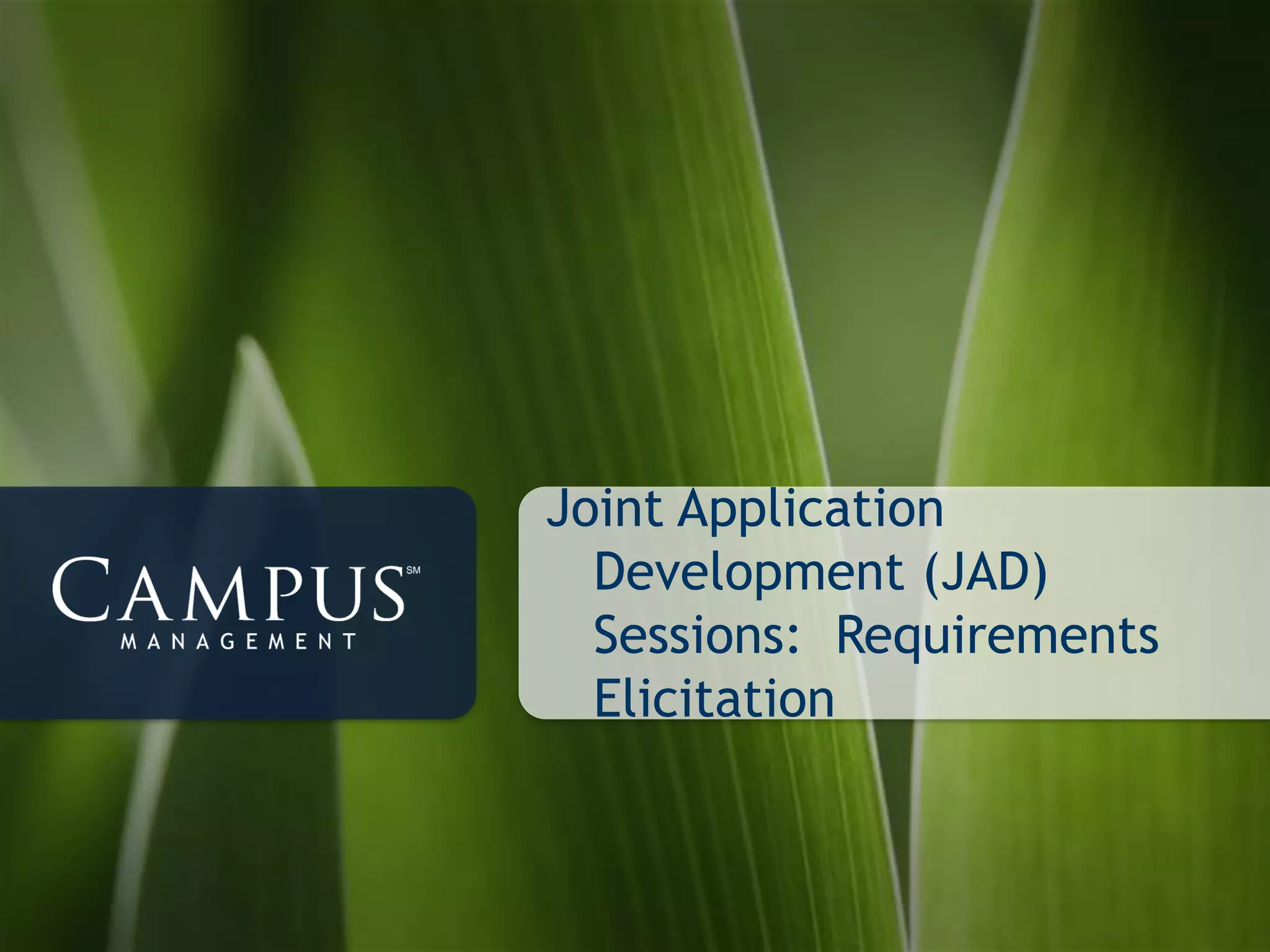 Agile: JAD Requirements Elicitation | PDF