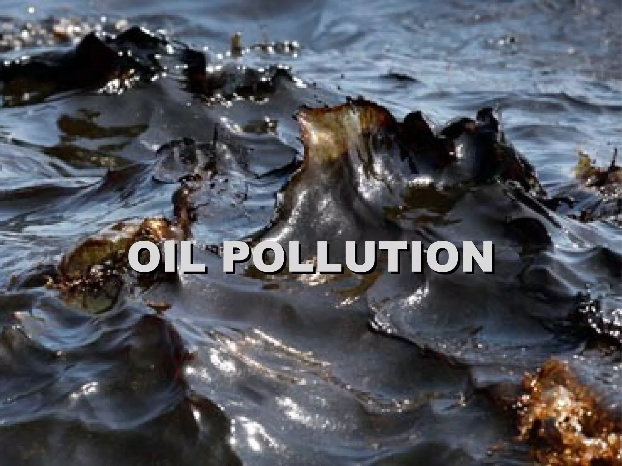 Oil pollution | PPT