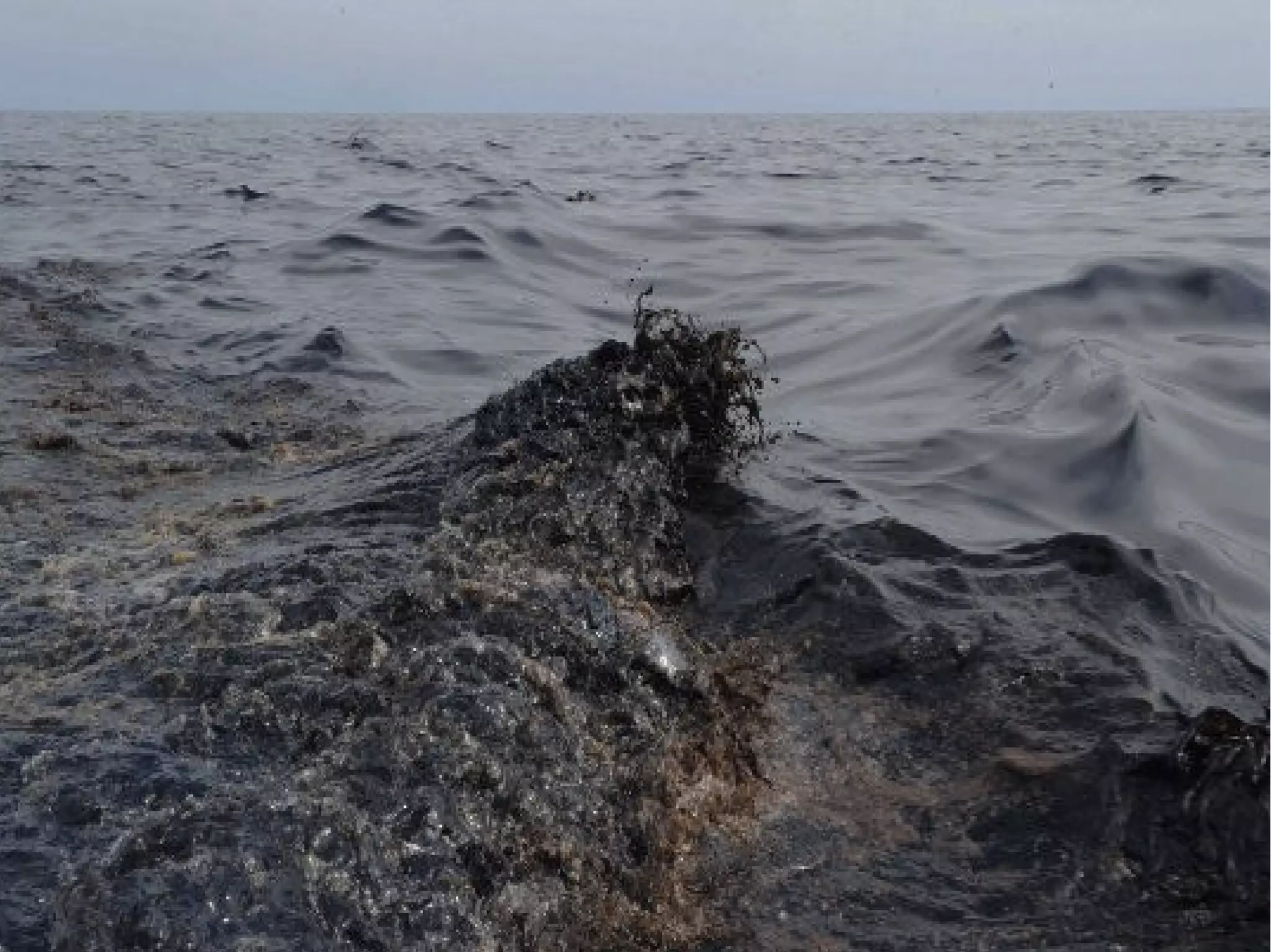 Oil pollution | PPT