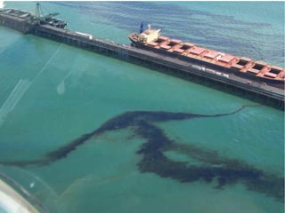 Oil pollution | PPT