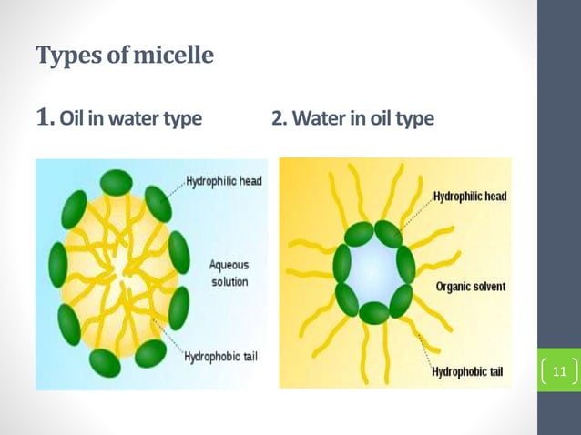 Micelle and Critical Micelle Concentration | PPTX