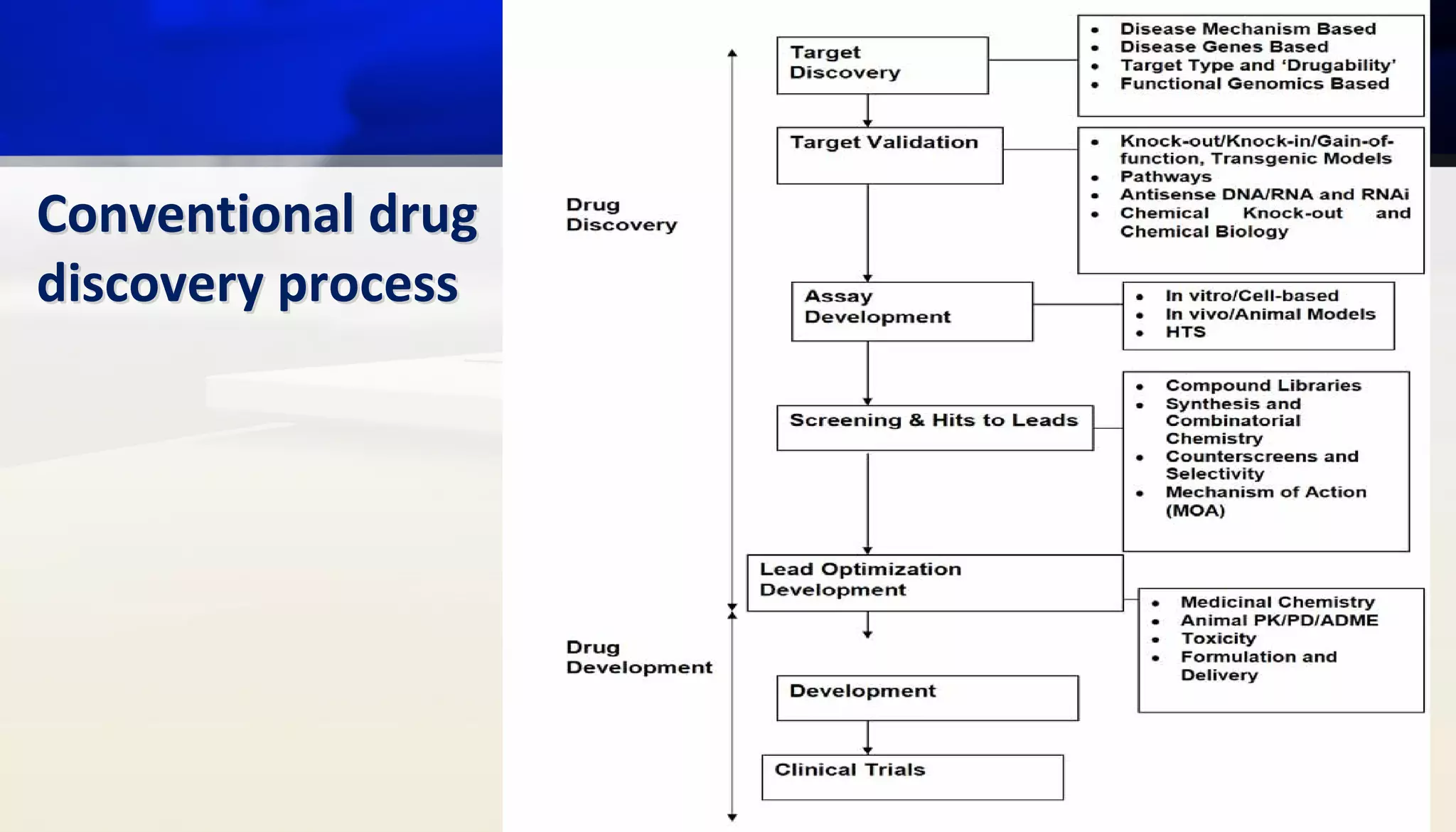 computational model of drug disposition. | PDF