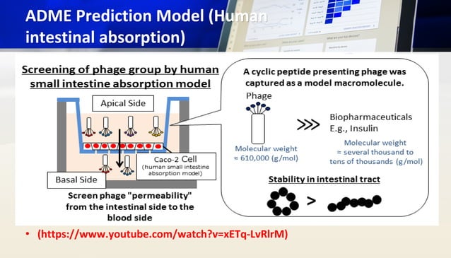 computational model of drug disposition. | PDF